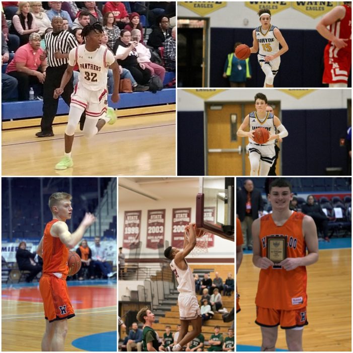 Martin takes home Finger Lakes East Player of the Year honors - Pickin ...