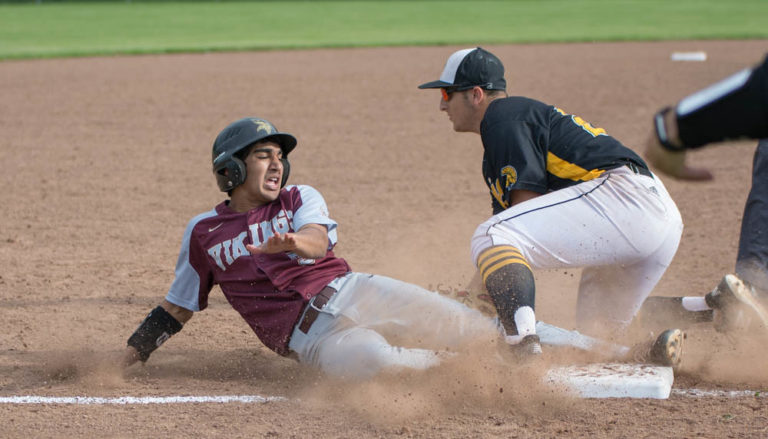 Mendon's one year wonder : Karthik Mathew-Malik - Pickin' Splinters
