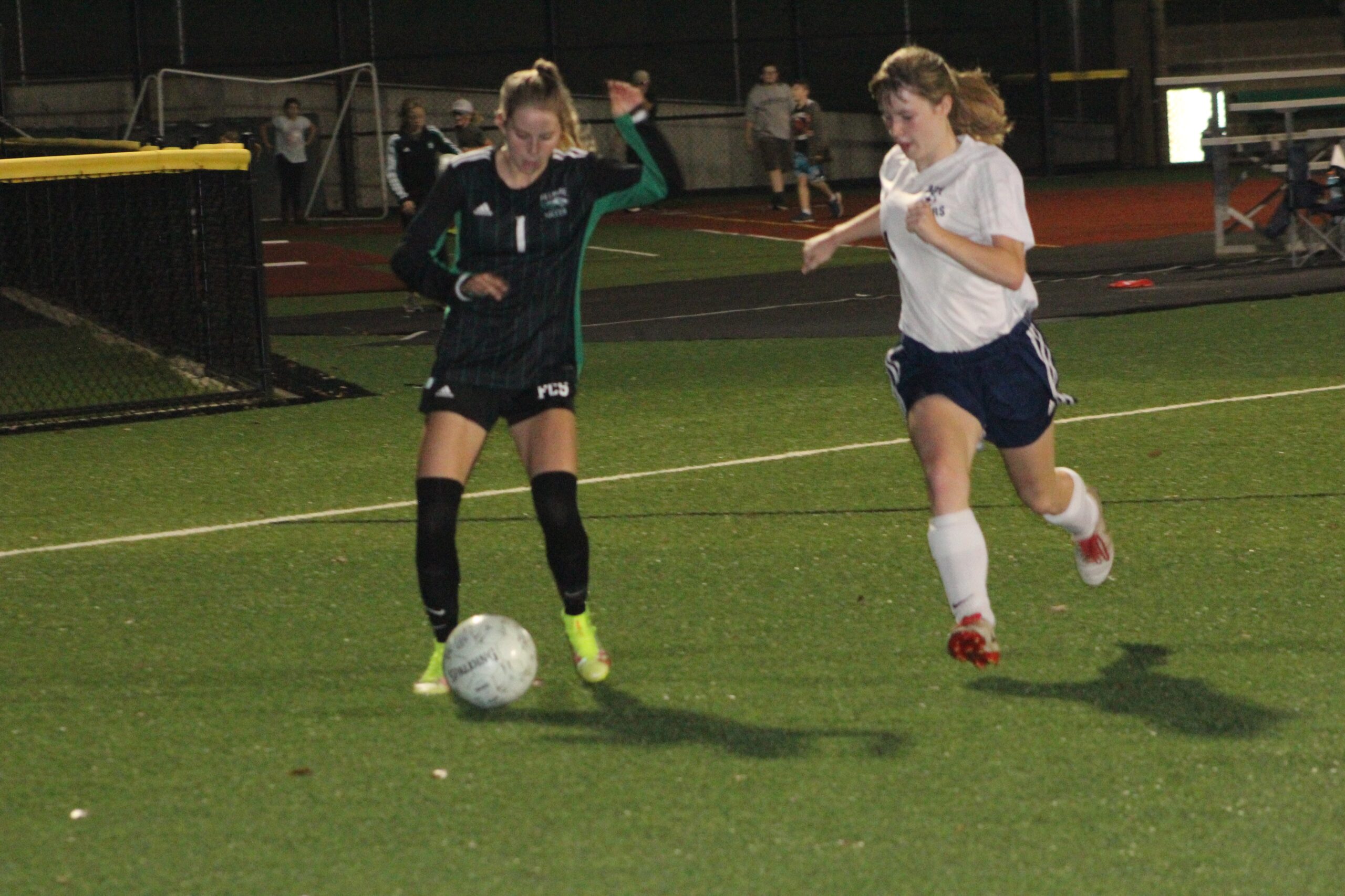 Six Section V Girls highlight All-State selections - Pickin' Splinters