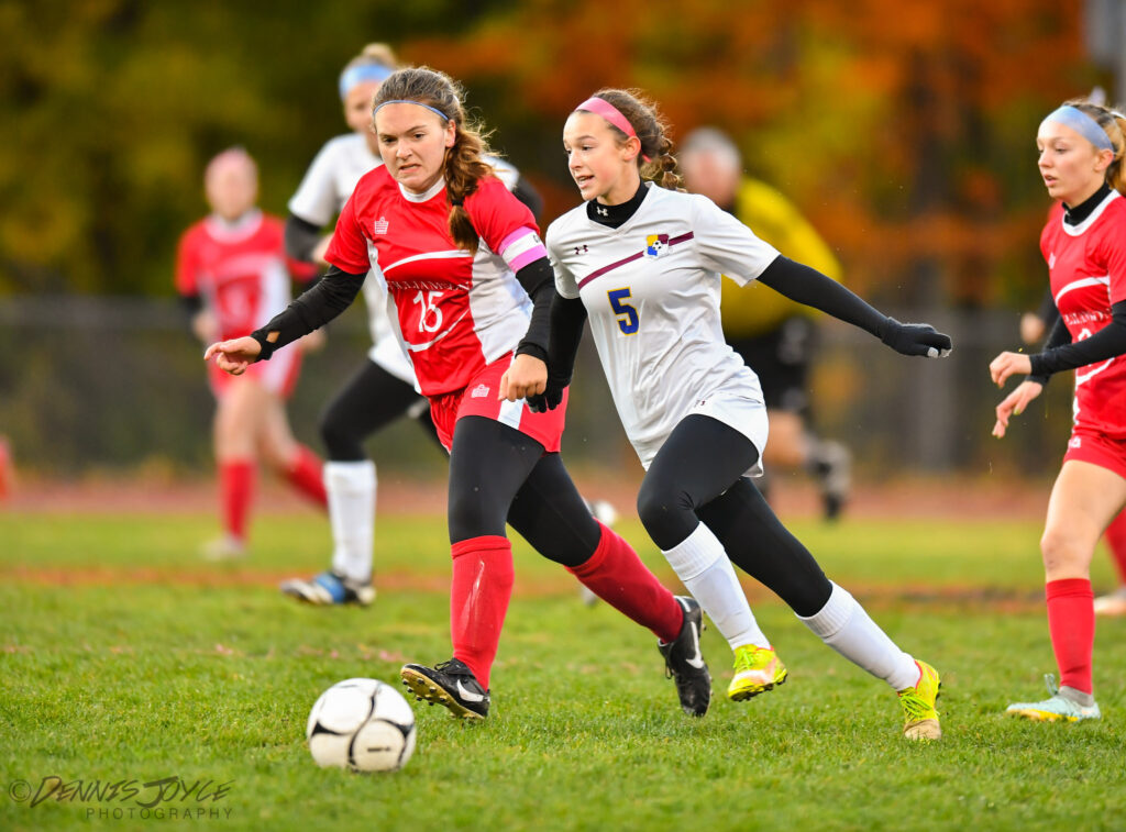 Rochester Colonial Tuesday Girls’ Soccer Wrap: Capel registers shutout ...