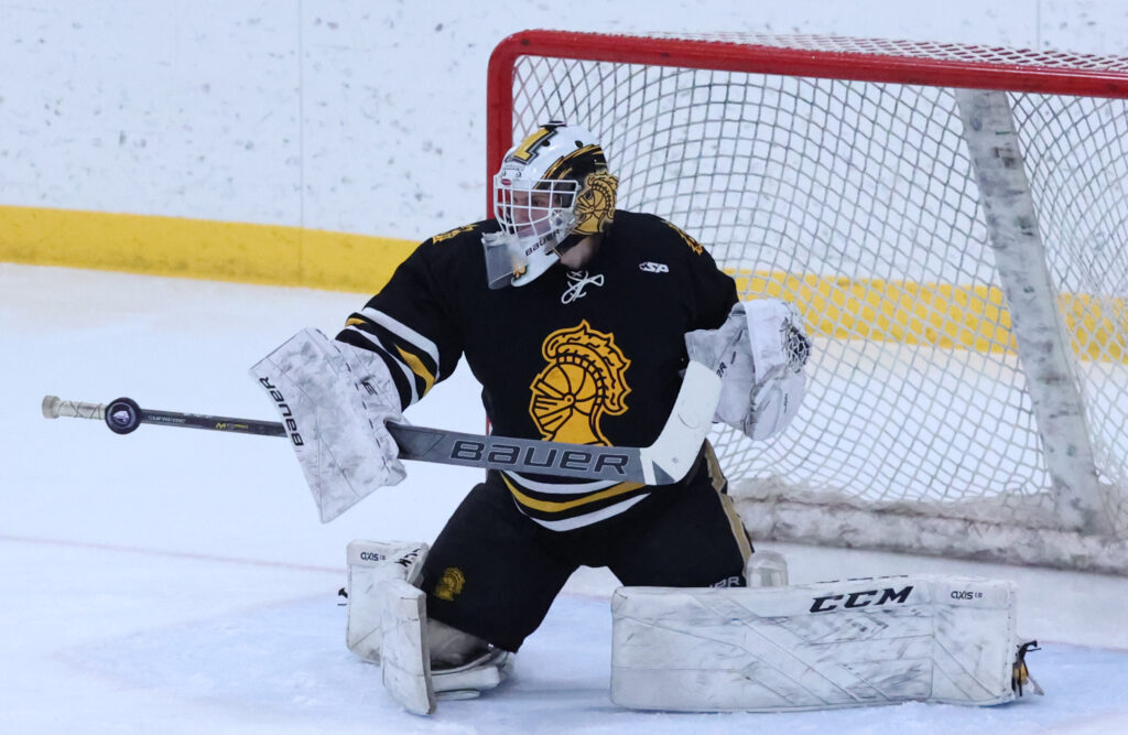Friday Hockey Wrap: Carr scores OT winner for Saints; Batavia/Notre ...