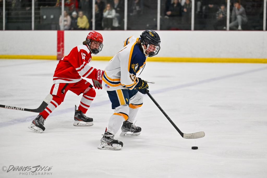 Weekend Hockey Wrap: Gatti tallies 33-save shutout; Griffin records ...