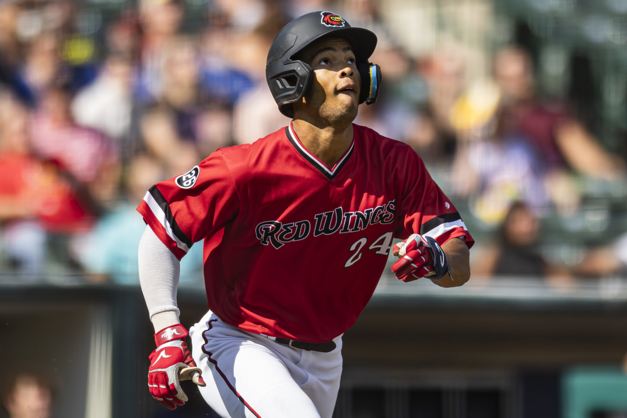 Red Wings win third game of last four, 9-4 - Pickin' Splinters