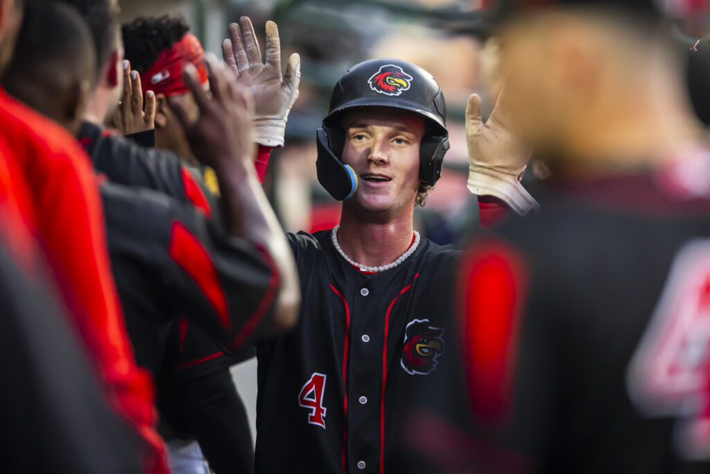 Red Wings snap losing streak in shortened game - Pickin' Splinters