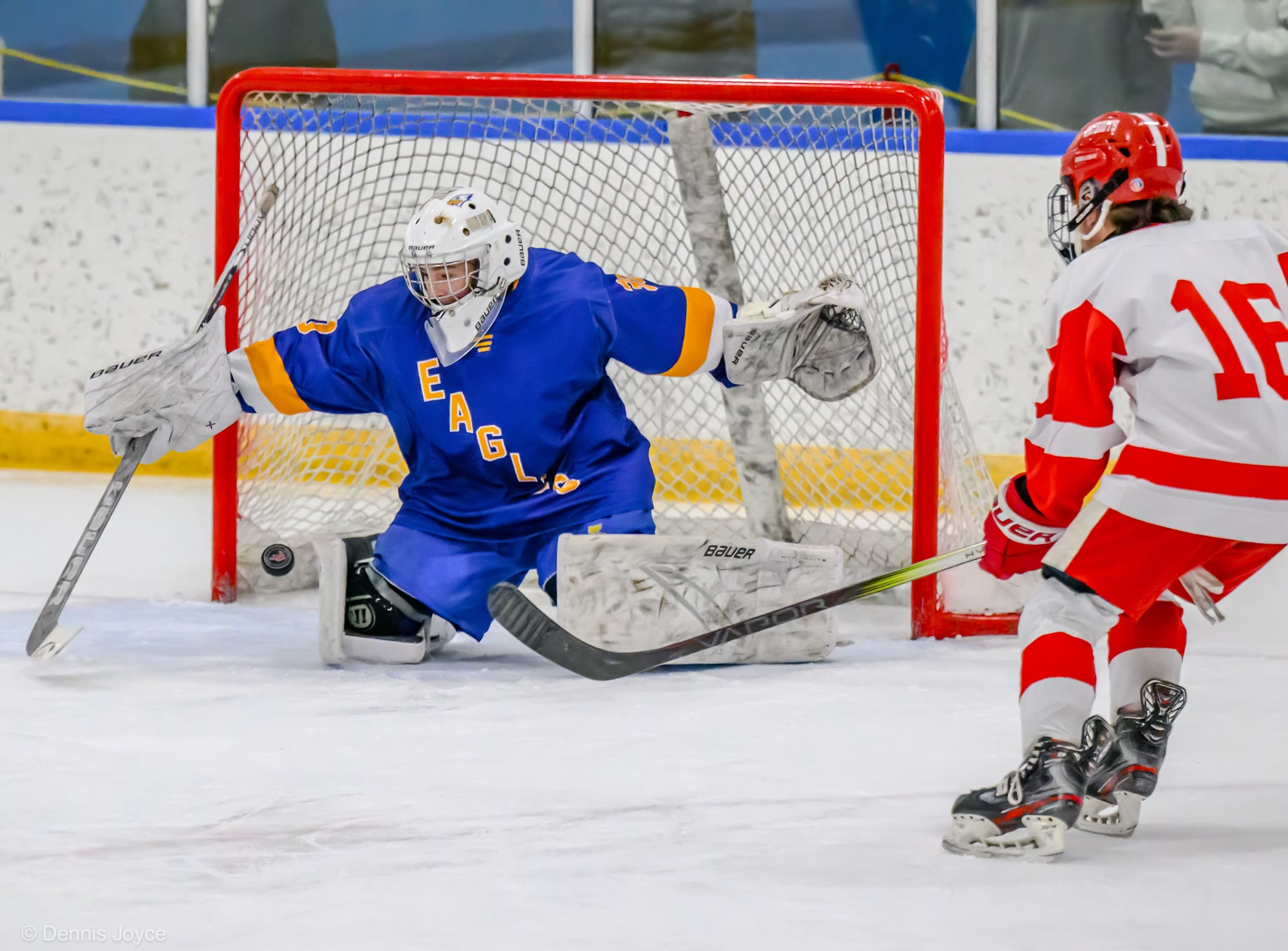 Advantage Federal Credit Union Weekend Section V Hockey Wrap: Aquinas ...