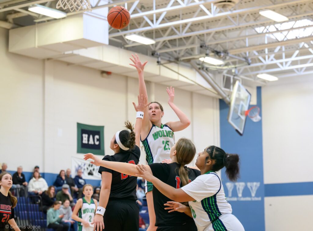 West Herr Saturday Girls’ Basketball Wrap: Orr's big fourth lifts ...
