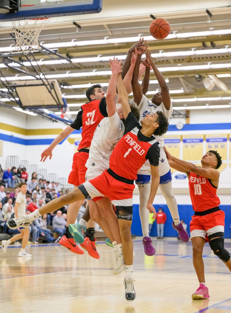 Delisanti Wealth Management Friday Boys' Basketball Wrap: Batavia's ...