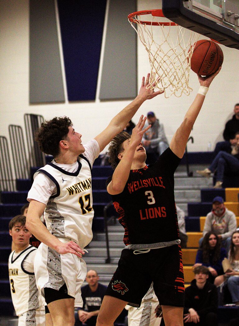 Delisanti Wealth Management Friday Boys' Basketball Wrap: Stroud aids ...