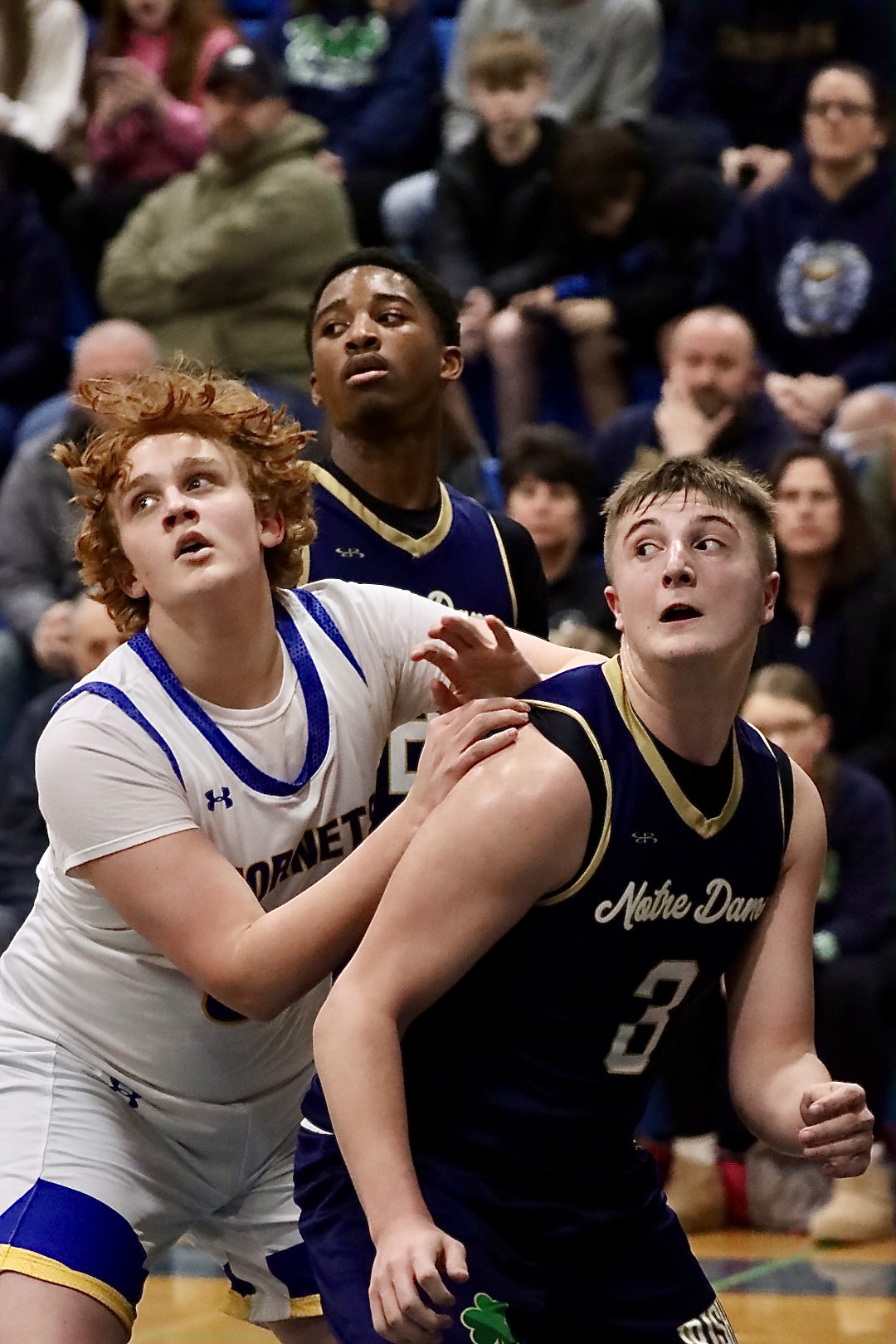 Delisanti Wealth Management Wednesday Boys' Basketball Wrap: Webster's ...