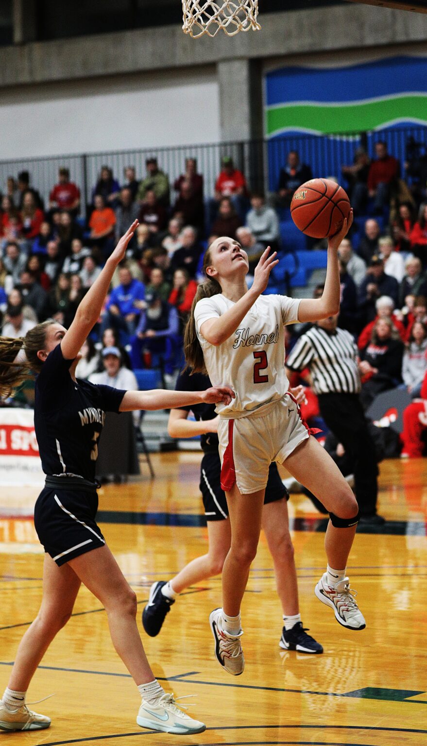 Hornell locks down third straight sectional title - Pickin' Splinters