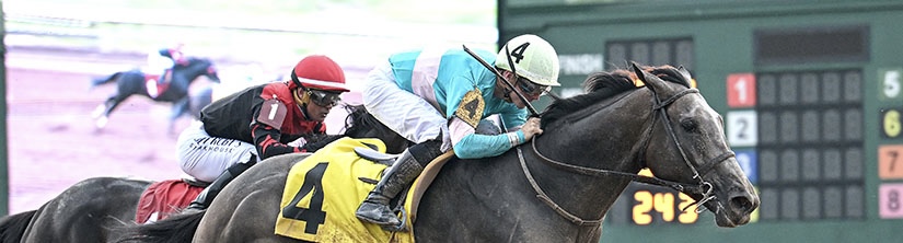 A sign of spring: Horse racing returns to Finger Lakes - Pickin' Splinters