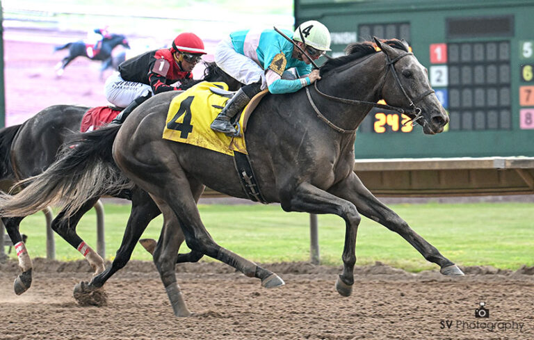 A sign of spring: Horse racing returns to Finger Lakes - Pickin' Splinters