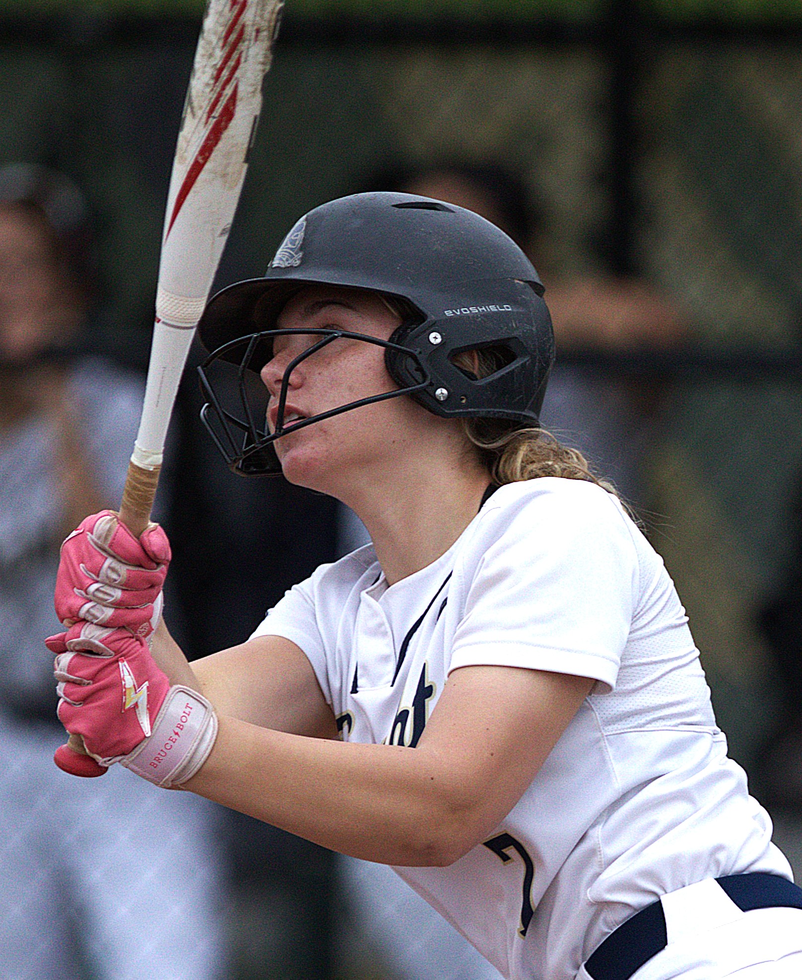 Softball Sectional Final Preview: Pittsford Sutherland, Eastridge matchup in Class A Final ...