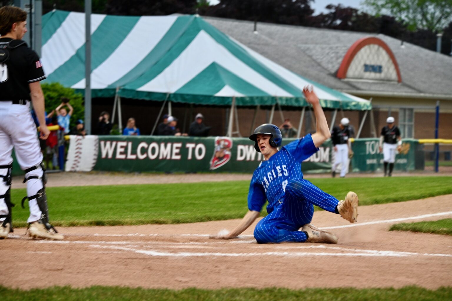 Constantino Financial Friday Baseball Wrap: DiCicco and Zimmer lead ...