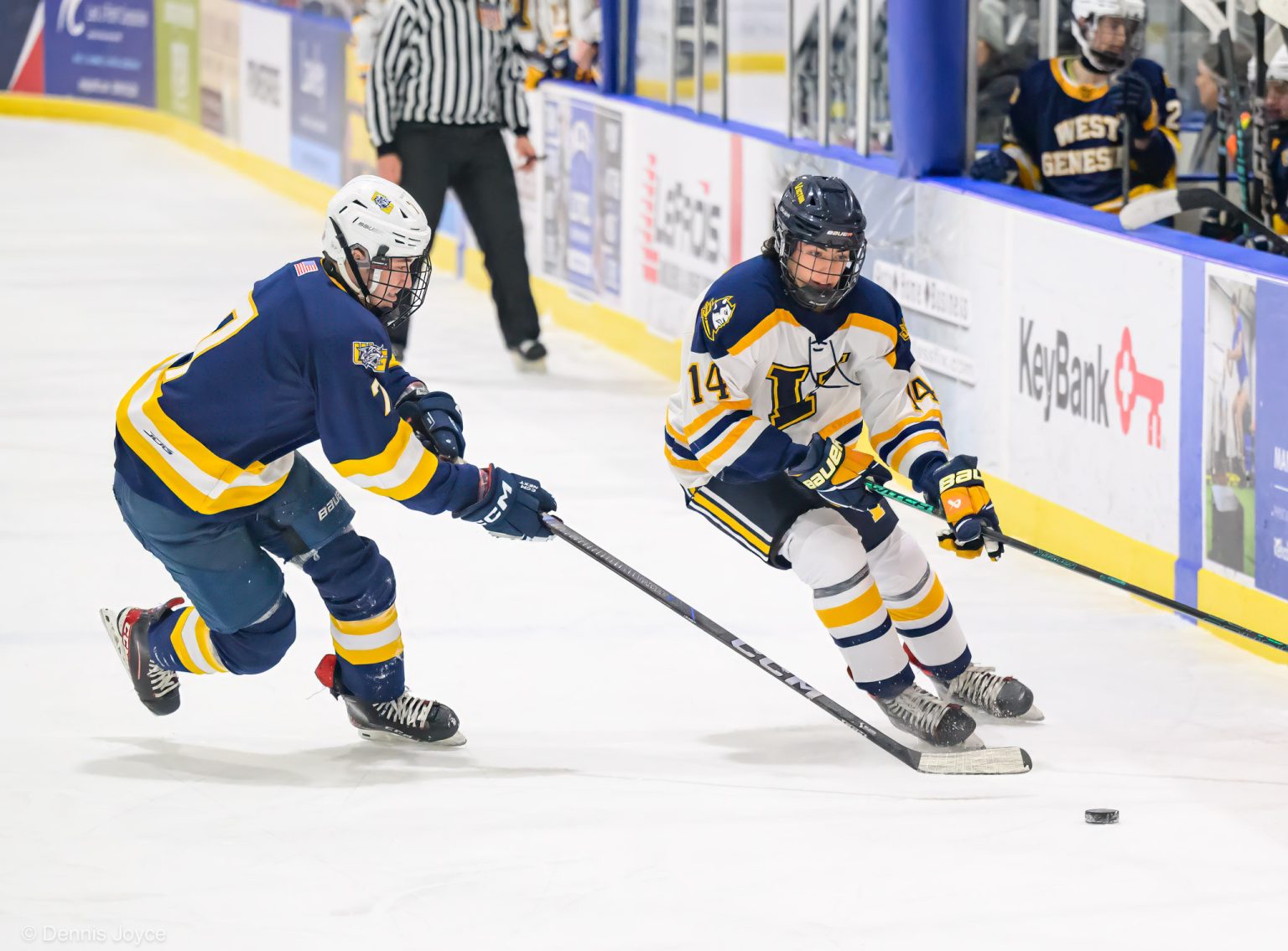 Weekend Section V Hockey Wrap: Scheirer tallies five points for Webster ...