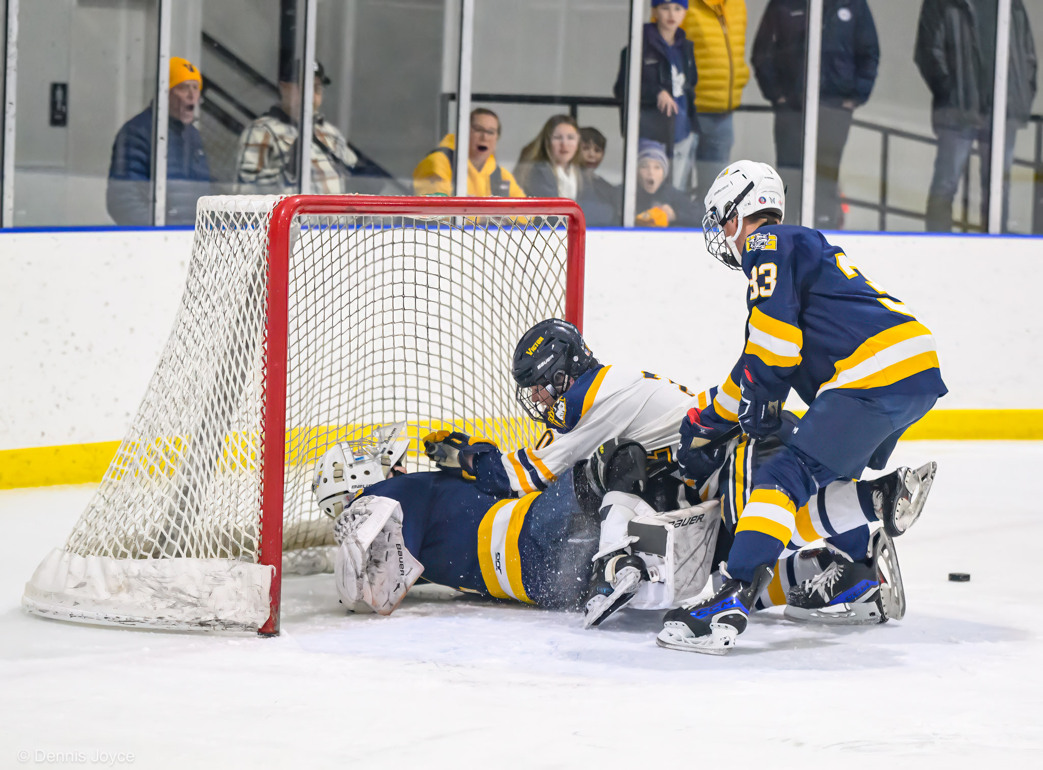 Weekend Section V Hockey Wrap: Scheirer tallies five points for Webster ...