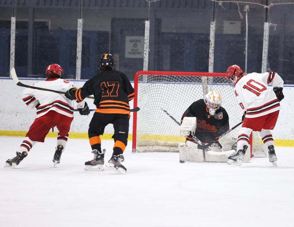 Weekend Section V Hockey Wrap: Pentz tallies four points for Portside ...