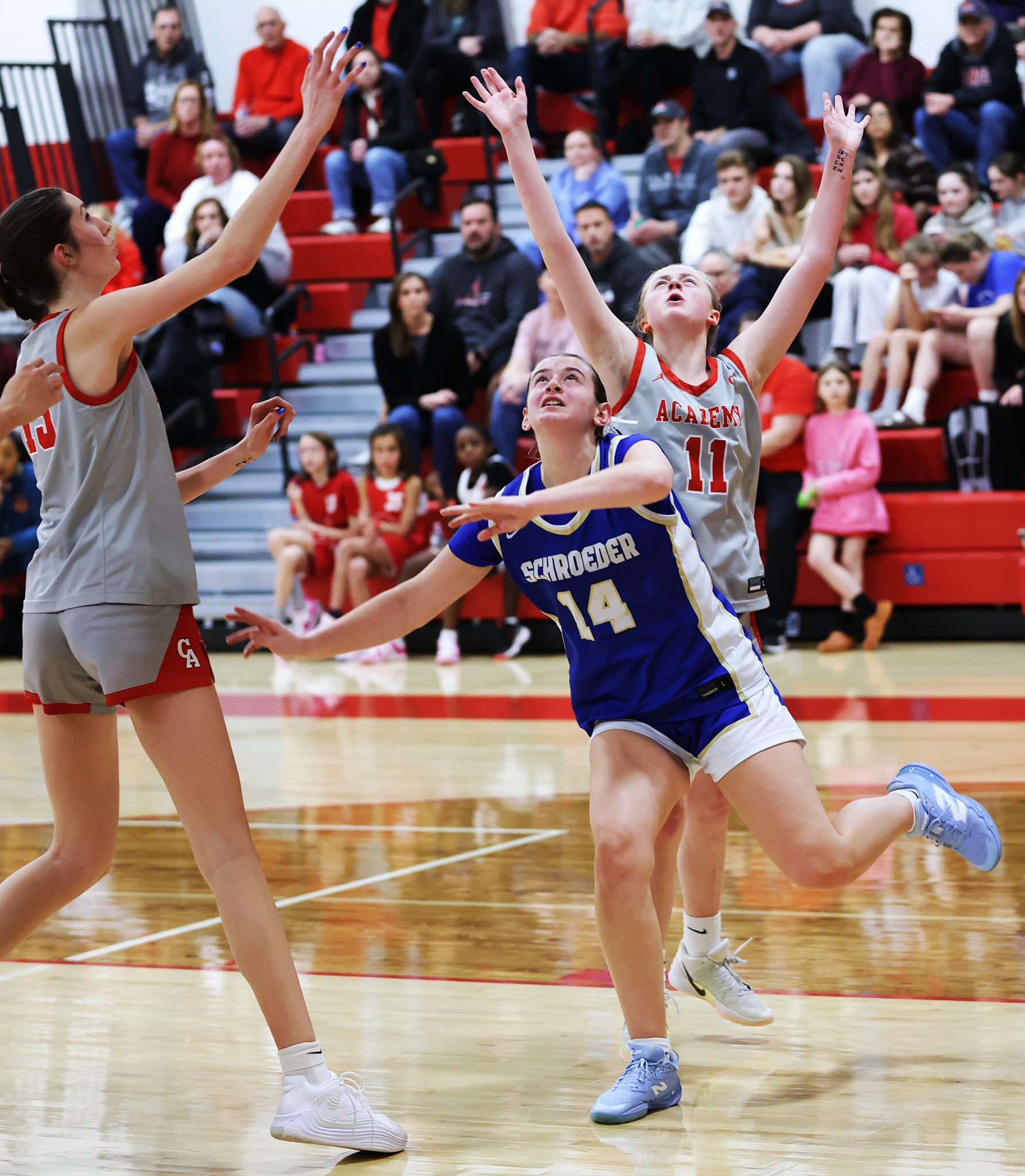 Wednesday Girls' Basketball Wrap: Bonnell joins 1,000-point club ...