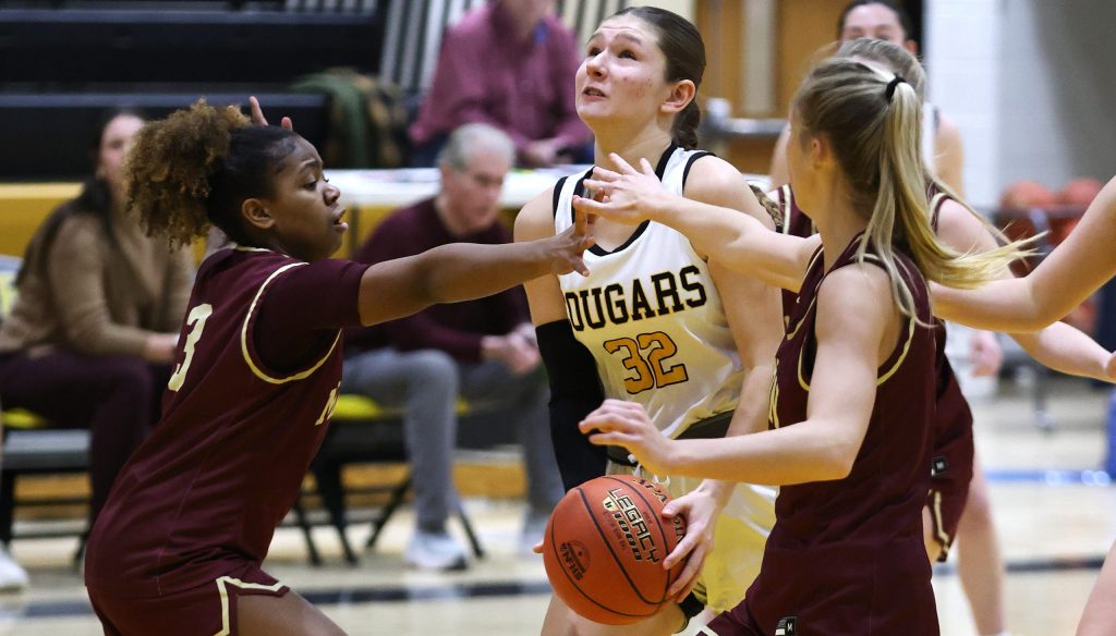 Dixon and Mobeen guide Pittsford Mendon to ninth straight win - Pickin ...