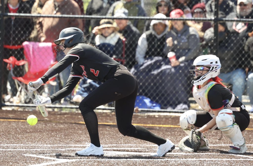 Penfield rallies to take AA1 softball crown - Pickin' Splinters