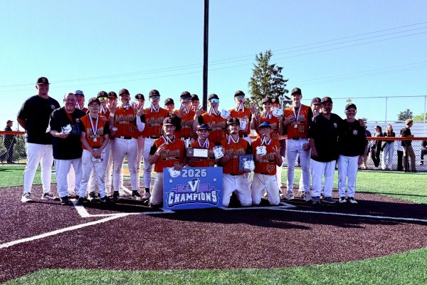 Green’s MVP performance clinches Wellsville's third straight title ...